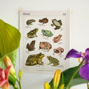 FROG ART PRINT 8x10 Vintage Poster Frog Decor - Etsy