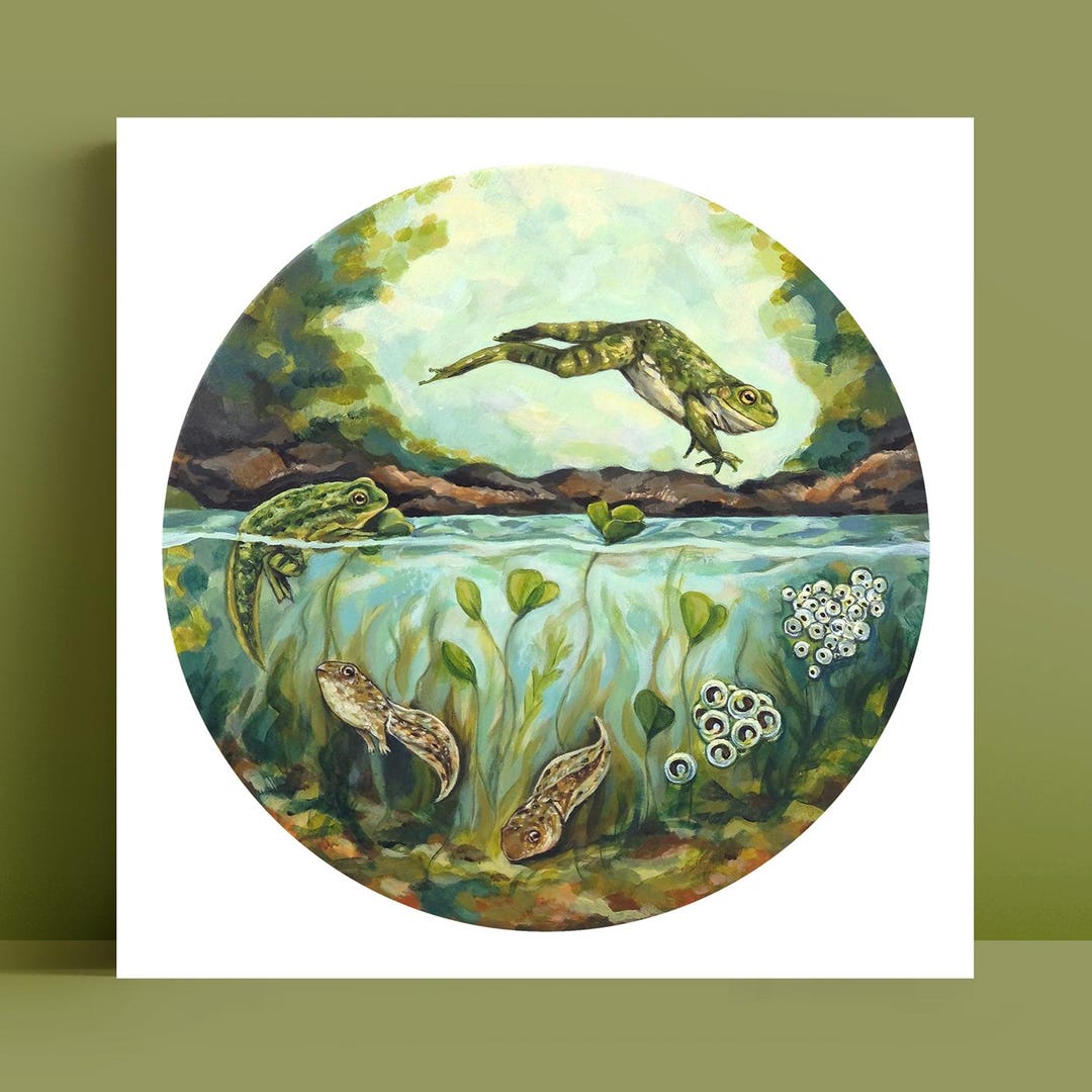 FROG ART PRINT - 8x8 - Frog Life Cycle Illustration - Frog Decor ...