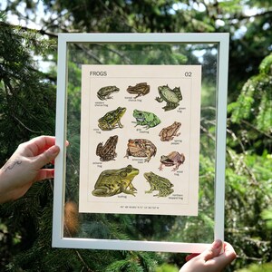 FROG ART PRINT 8x10 Vintage Poster Frog Decor - Etsy