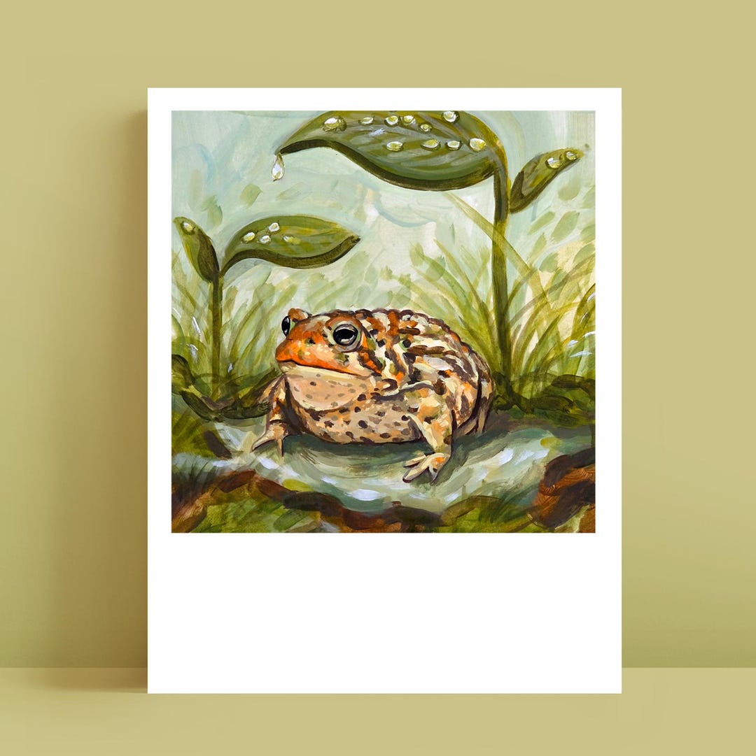 American Toad Art Print – Cottagecore Frog Illustration (4.3x5.5 In) - Etsy