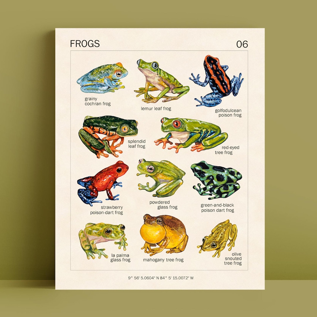 FROG ART PRINT - 8x10 - Vintage Poster - Frog Decor - Cottagecore Room ...