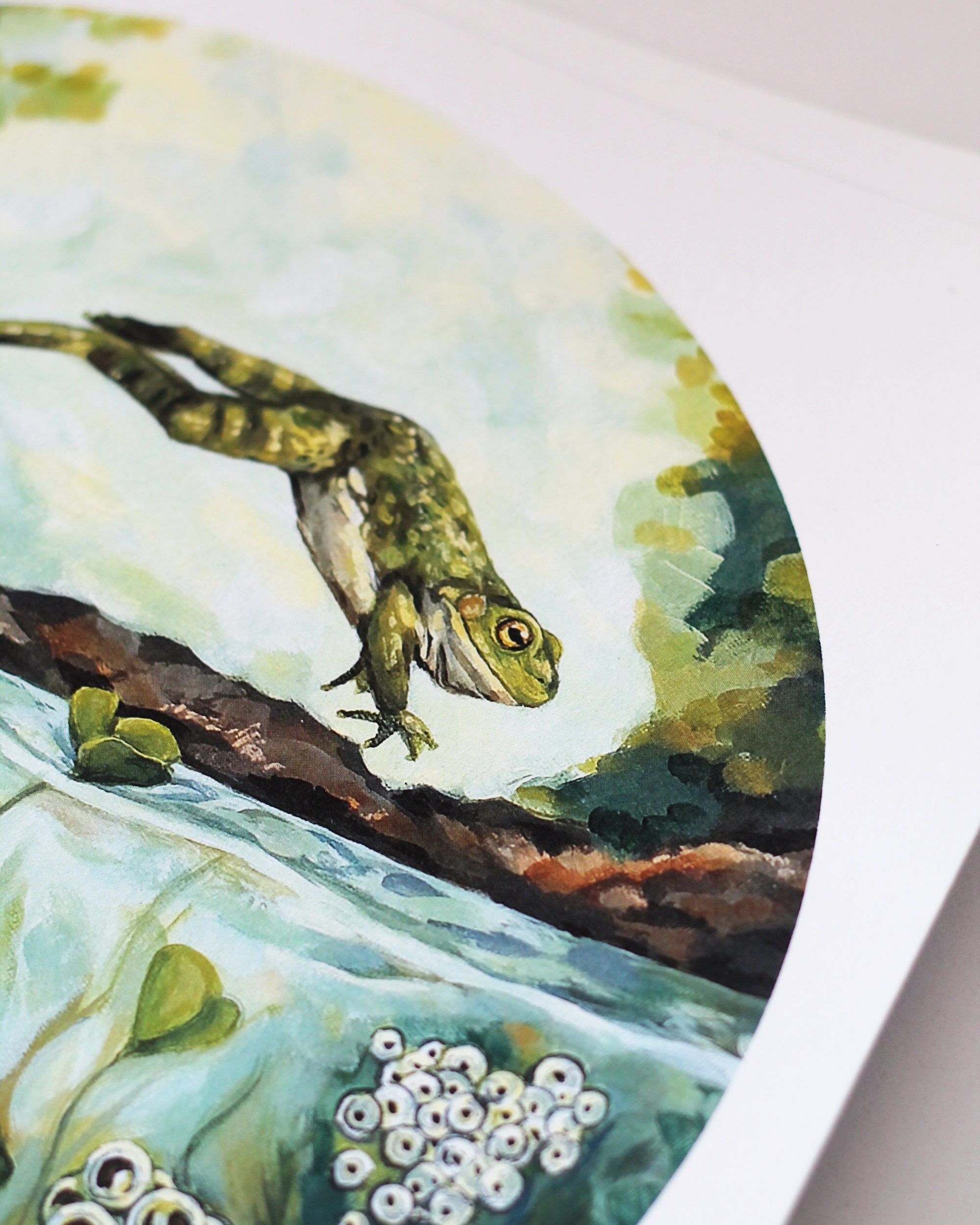 FROG ART PRINT - 8x8 - Frog Life Cycle Illustration - Frog Decor ...