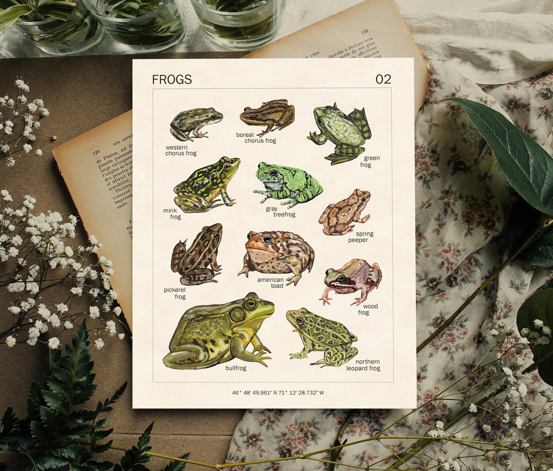 FROG ART PRINT 8x10 Vintage Poster Frog Decor - Etsy