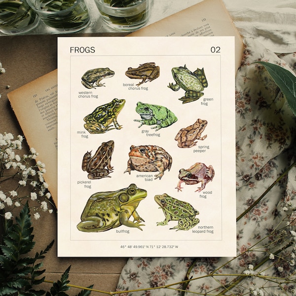 Frog Poster - Etsy Canada