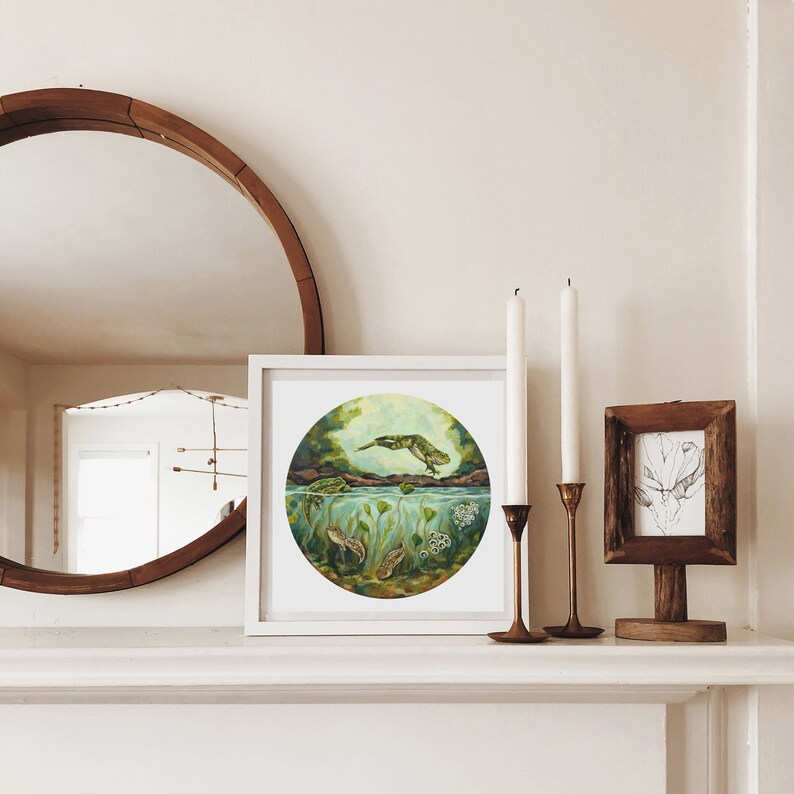 FROG ART PRINT - 8x8 - Frog Life Cycle Illustration - Frog Decor ...