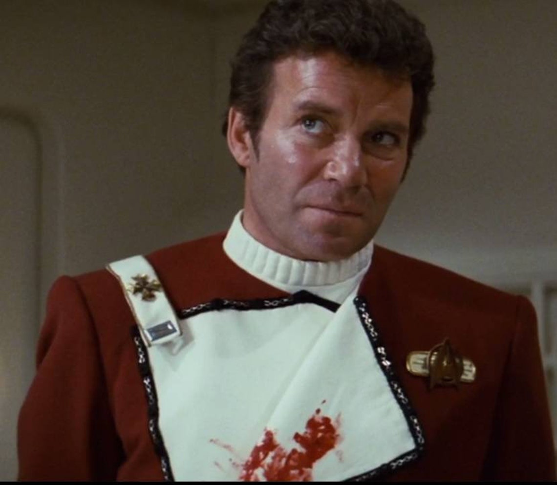 STAR TREK Complete (rear) Admiral-set Command Shoulder Strap and Sleeve ...