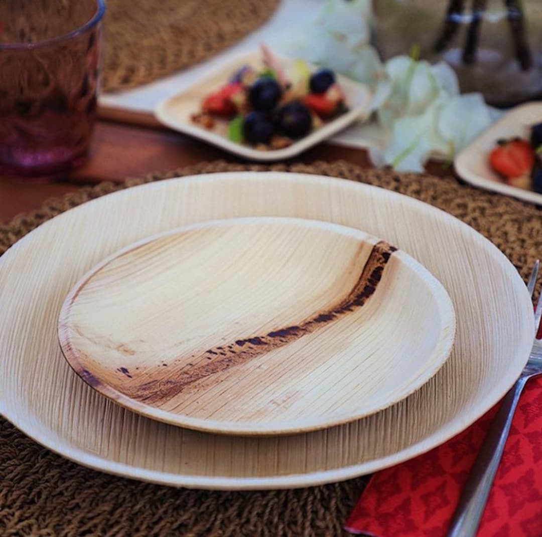 Areca Palm Leaf Plates (pack of 20 Round Plates) | Biodegradable Plates ...