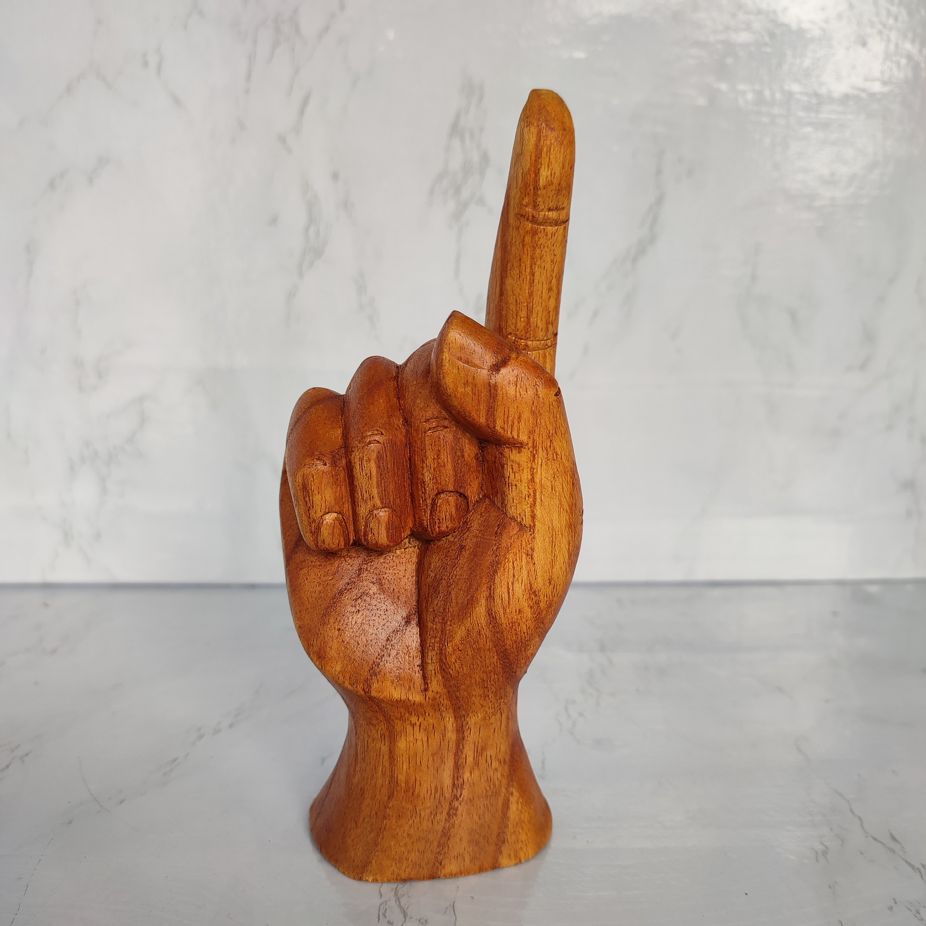 Number One, Hand Gesture Number One, Finger Number One, Male Index ...