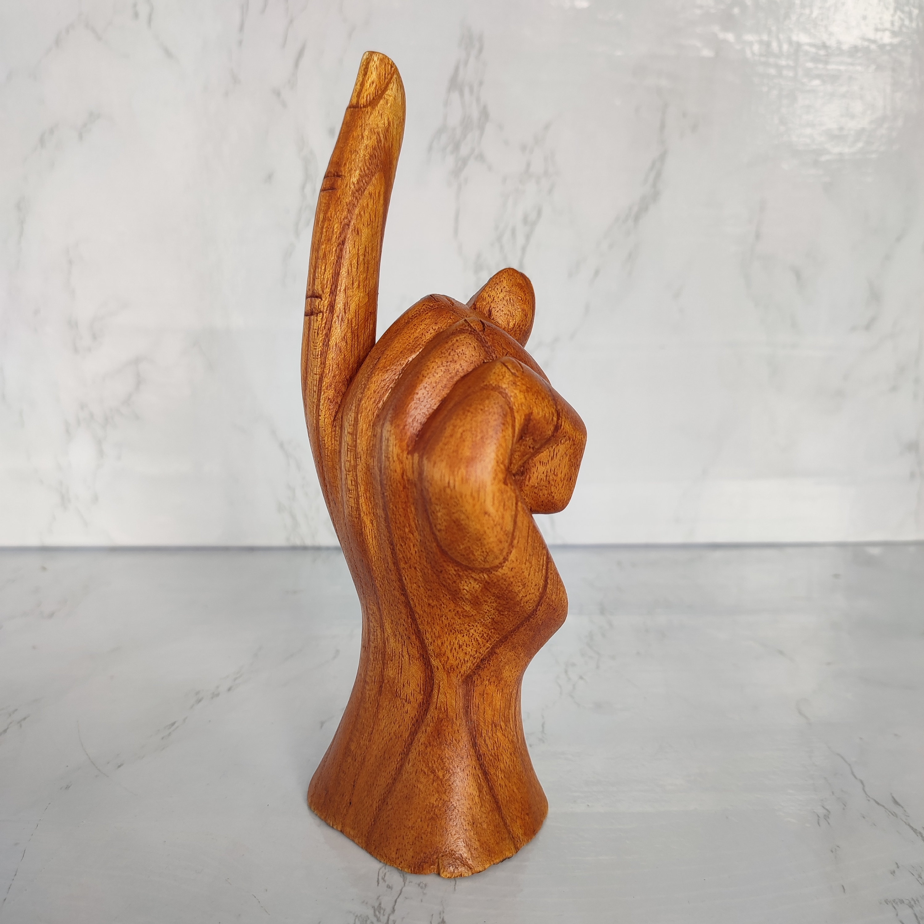 Number One, Hand Gesture Number One, Finger Number One, Male Index ...