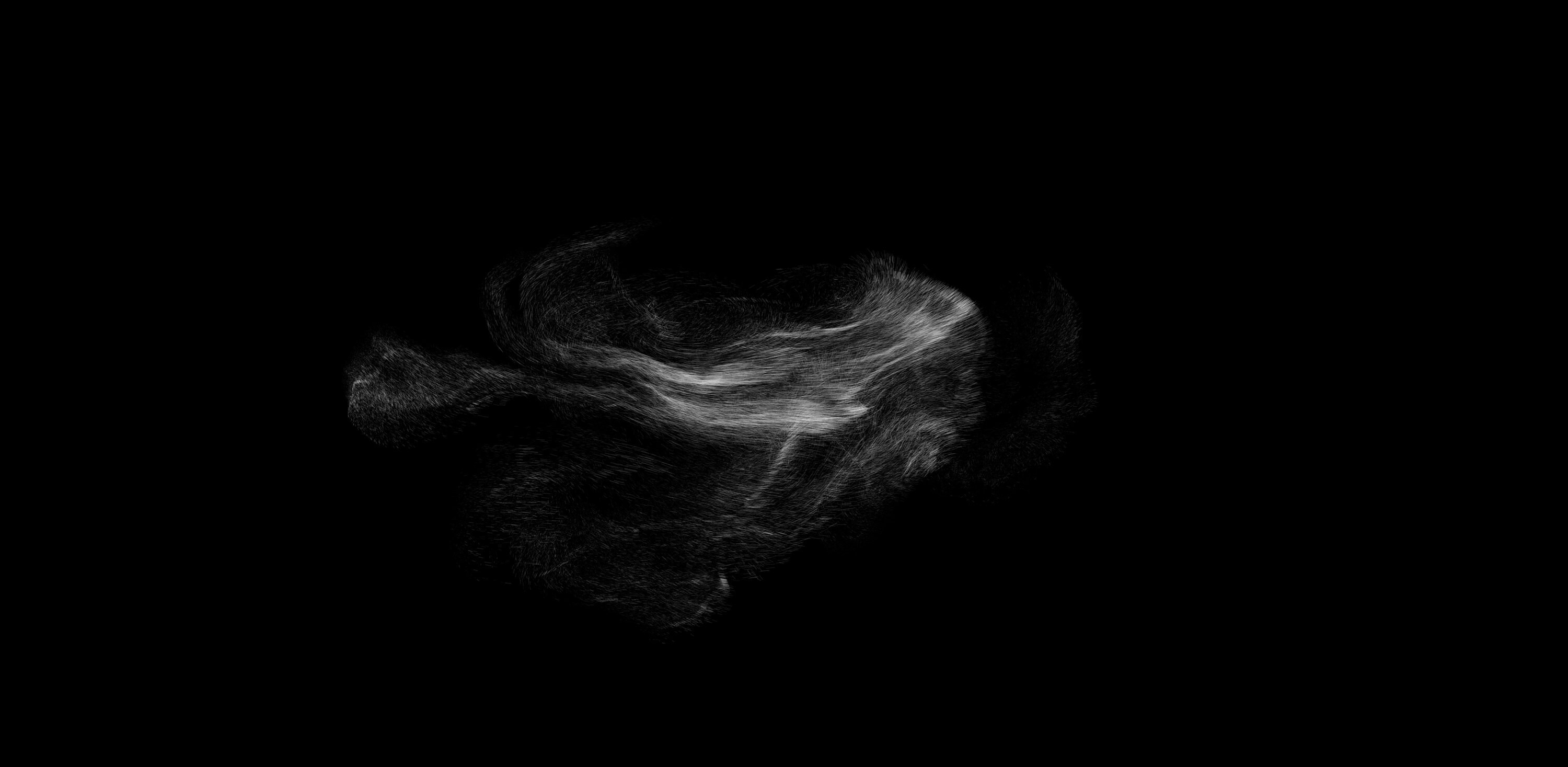 50 Animated Partical Dust VFX Videos for Content Creation and - Etsy