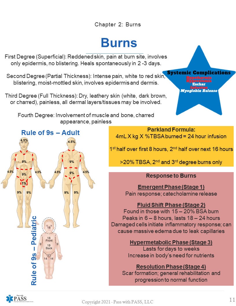 Paramedic Trauma Study Guide - Etsy