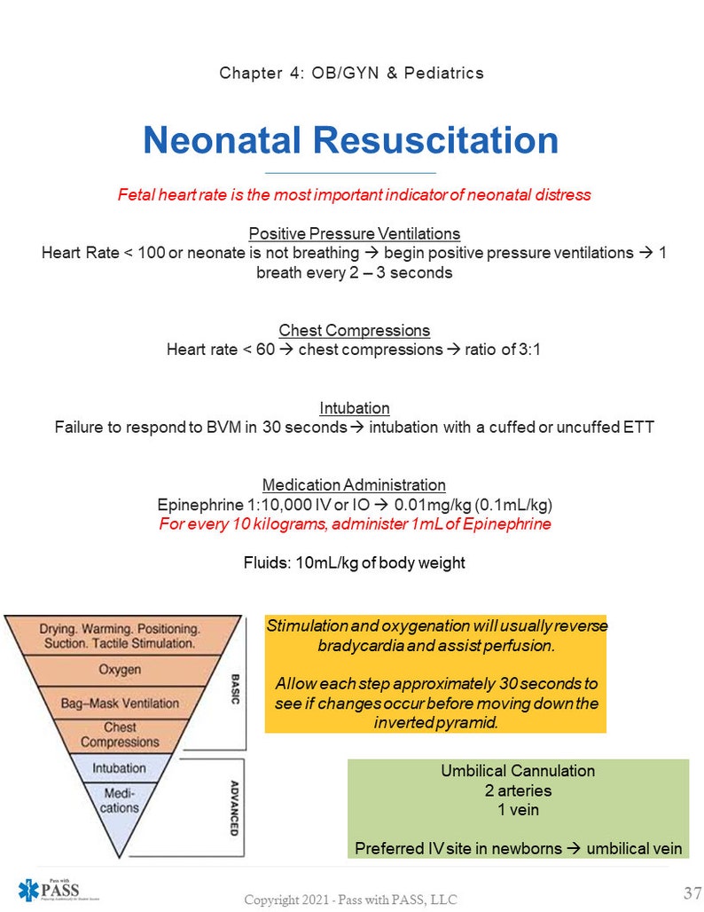 AEMT Medical Study Guide - Etsy