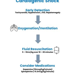 PALS Algorithm Cheat Sheets (based on the 2020 AHA PALS Updates ...