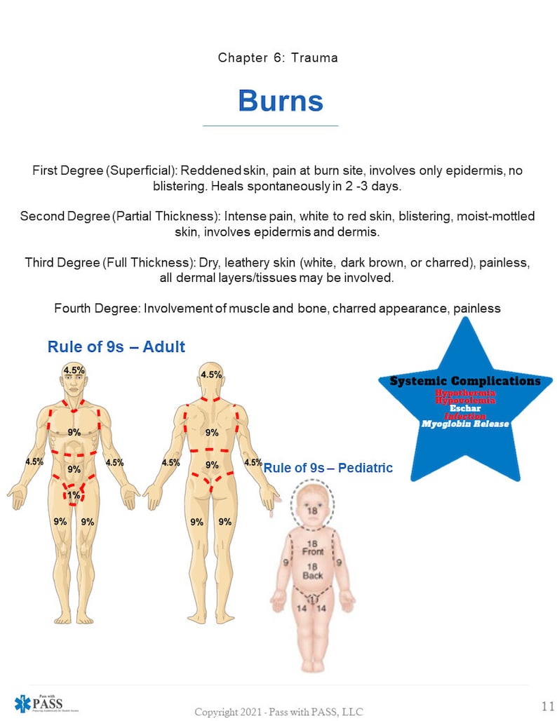 EMT Trauma Study Guide - Etsy