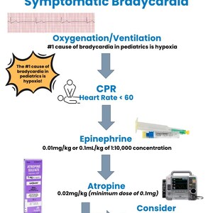PALS Algorithm Cheat Sheets (based on the 2020 AHA PALS Updates ...