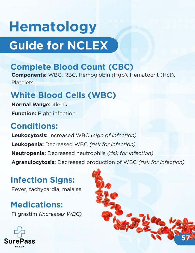 NCLEX NGN Study Guide - Etsy