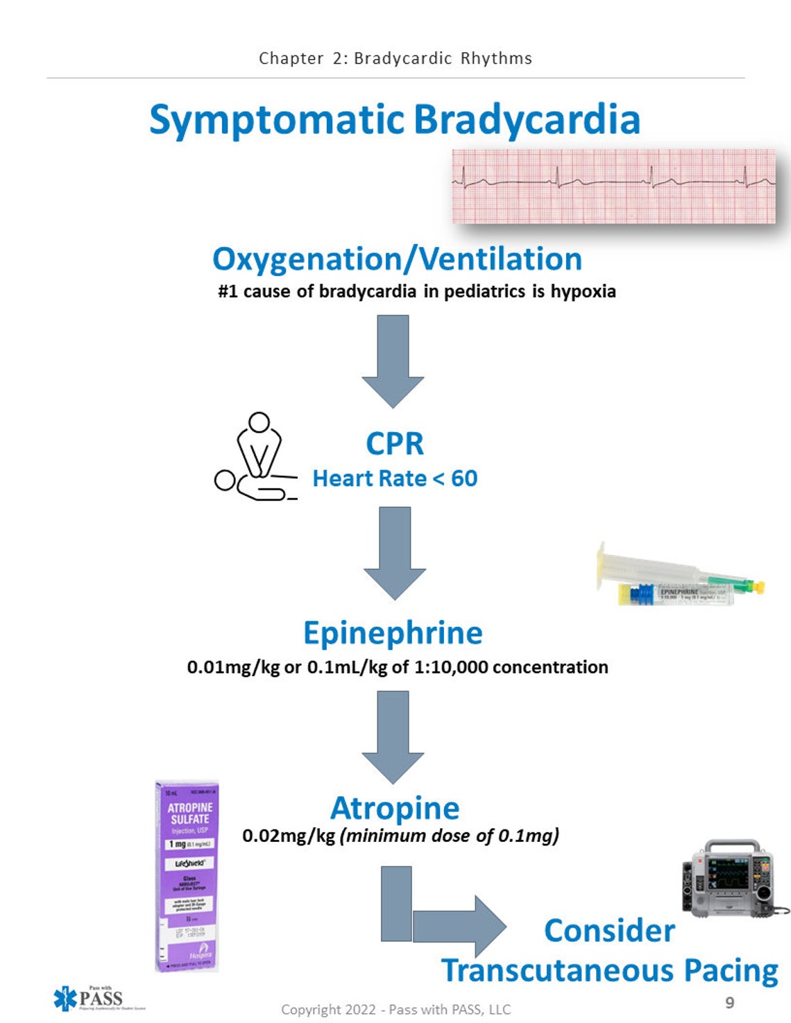 PALS Algorithm Cheat Sheets based on the 2020 AHA PALS - Etsy Finland