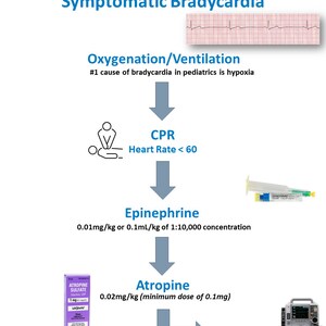 PALS Algorithm Cheat Sheets based on the 2020 AHA PALS Updates ...