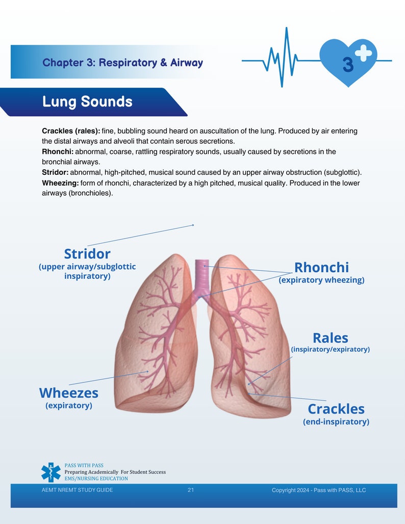 AEMT NREMT Study Guide - Etsy