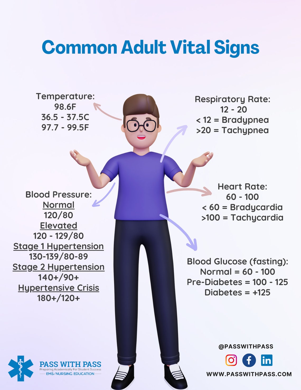 Common/normal Adult Vital Signs Reference Chart - Etsy