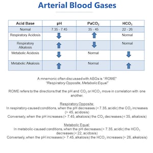 Paramedic Respiratory & Airway Study Guide - Etsy