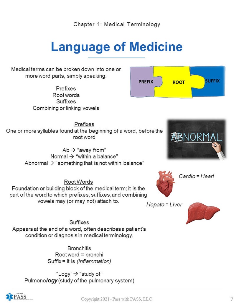 EMS Operations Study Guide - Etsy
