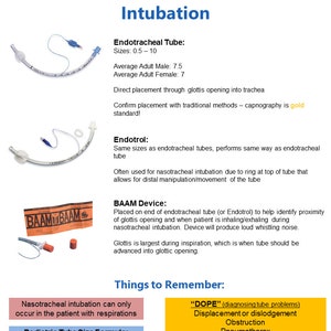 Paramedic Respiratory & Airway Study Guide - Etsy
