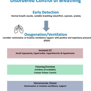 PALS Algorithm Cheat Sheets based on the 2020 AHA PALS Updates ...