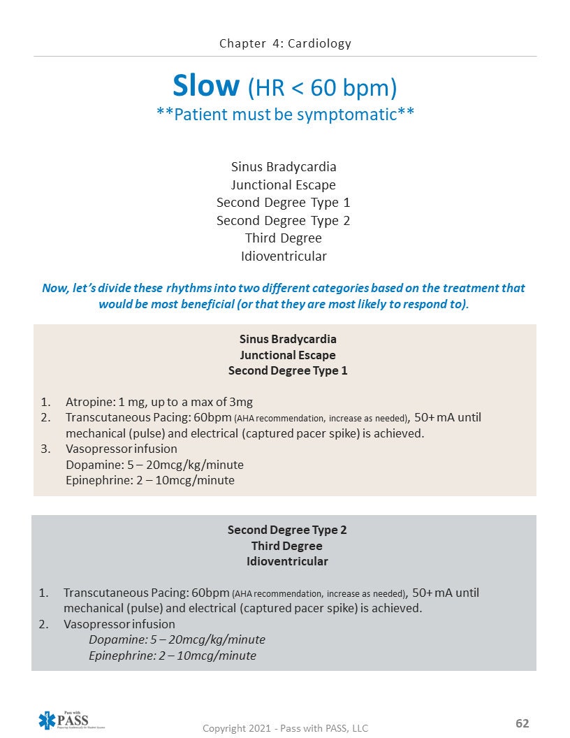 Paramedic NREMT Study Guide - Etsy