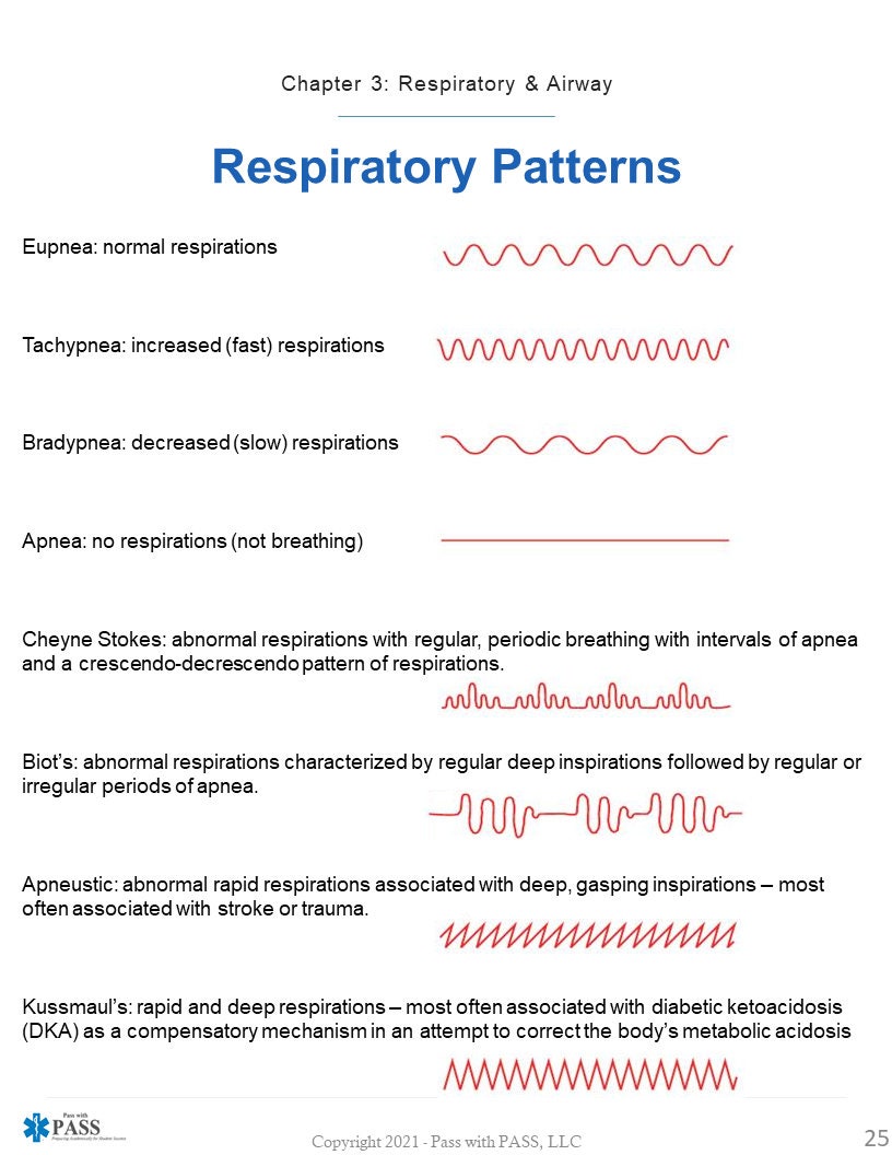 EMT NREMT Study Guide - Etsy