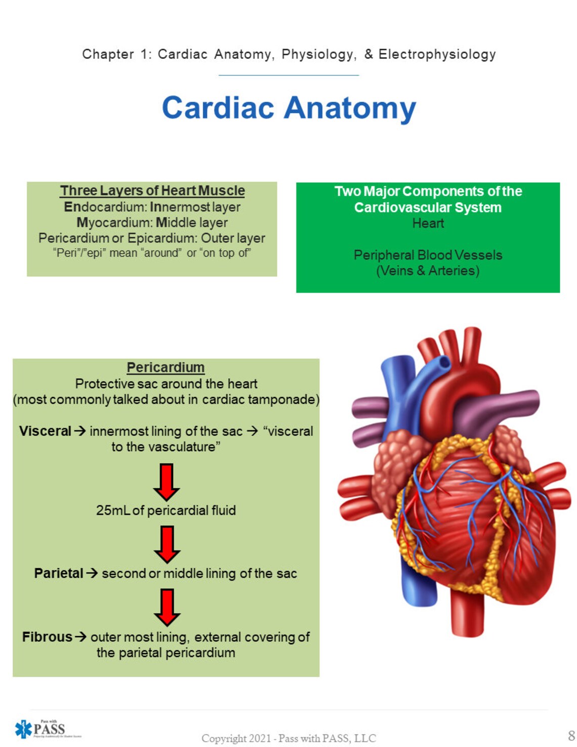 EMT Cardiology Study Guide - Etsy