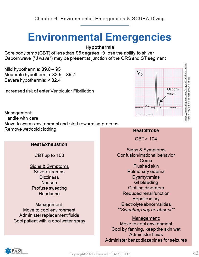 Paramedic Trauma Study Guide - Etsy