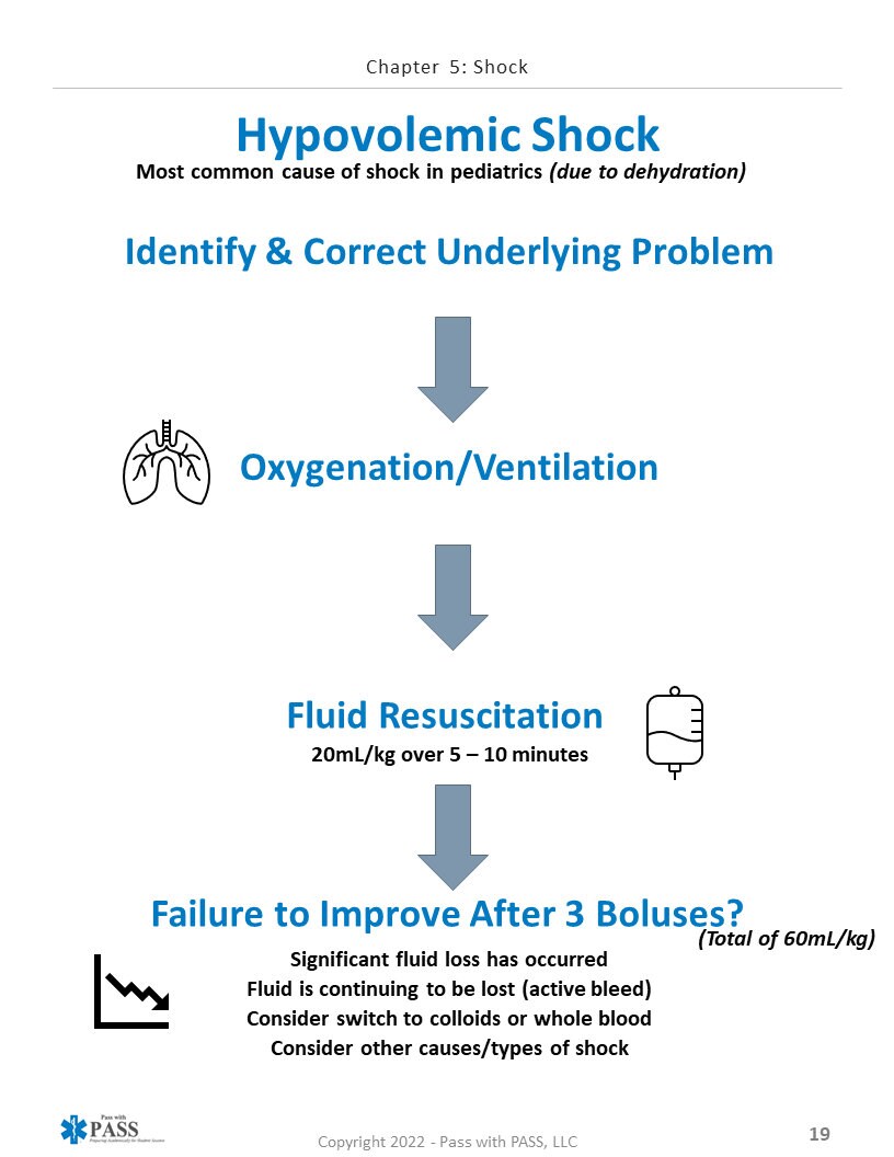 PALS Algorithm Cheat Sheets based on the 2020 AHA PALS - Etsy Singapore