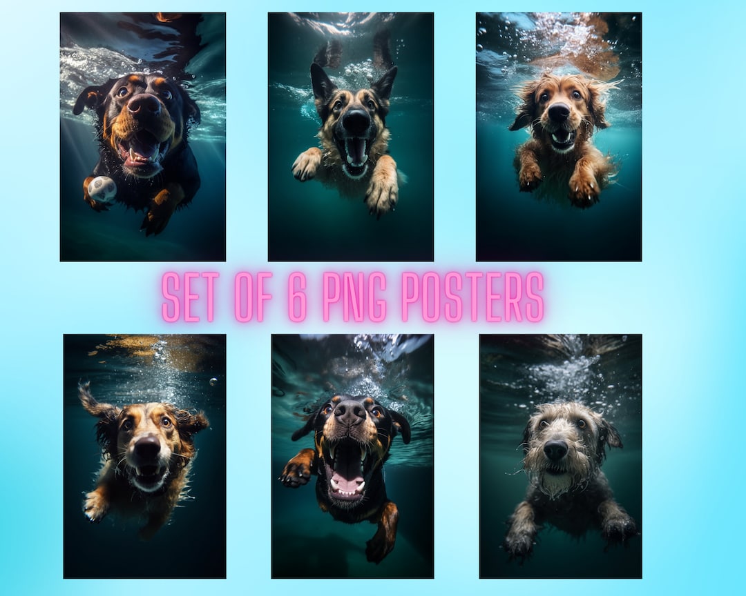 Playful Underwater Dogs Set 6 Whimsical Swimming Canines Wall Art, Fun ...
