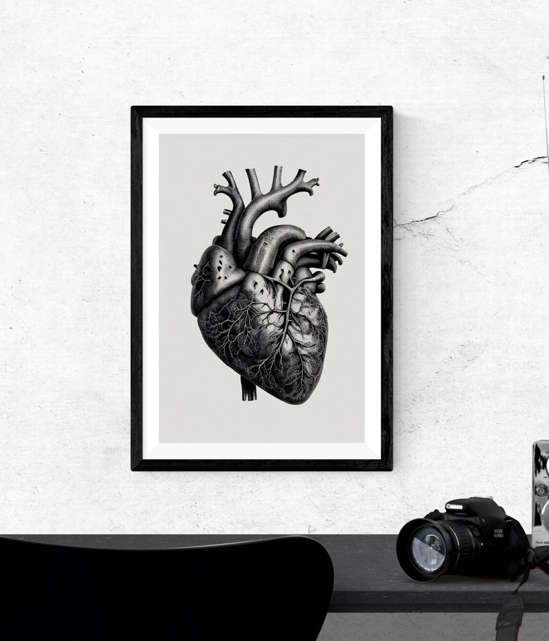 Vintage Anatomy Poster Human Heart in Black & White Wall - Etsy