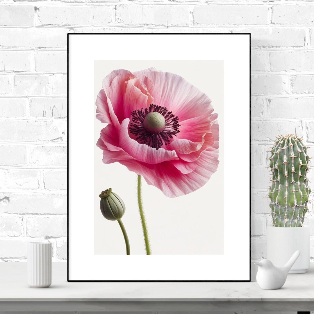 Lush Pink Poppy Flower Poster Vibrant Floral Wall Art for Dynamic Home ...