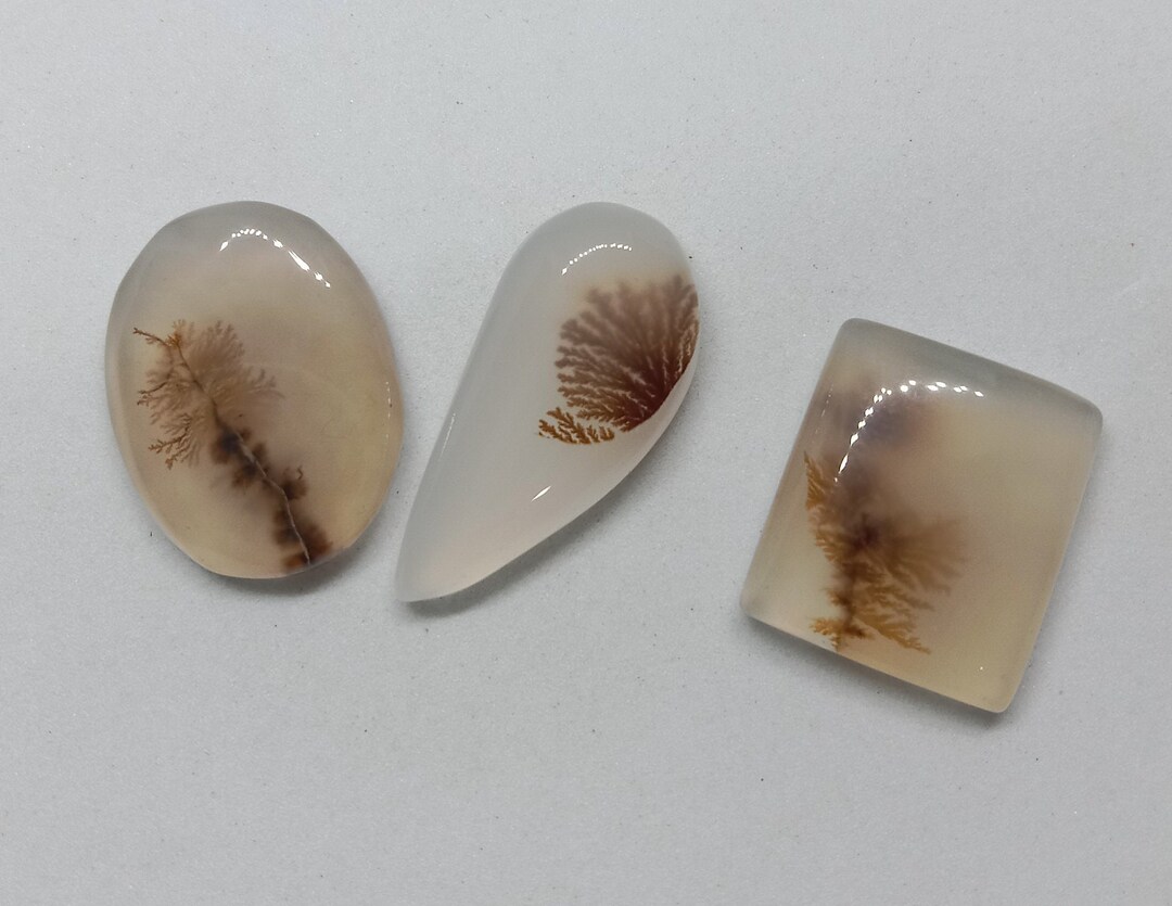 TOP 100% Natural Beautifull Shazar Stone Dendrite Agate Unique - Etsy