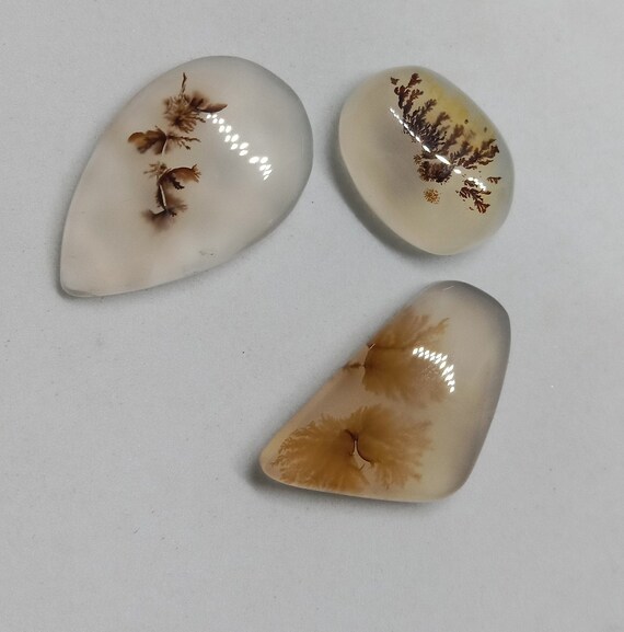 3 PCS LOT TOP 100% Natural Shazar Stone Dendrite Agate Unique - Etsy