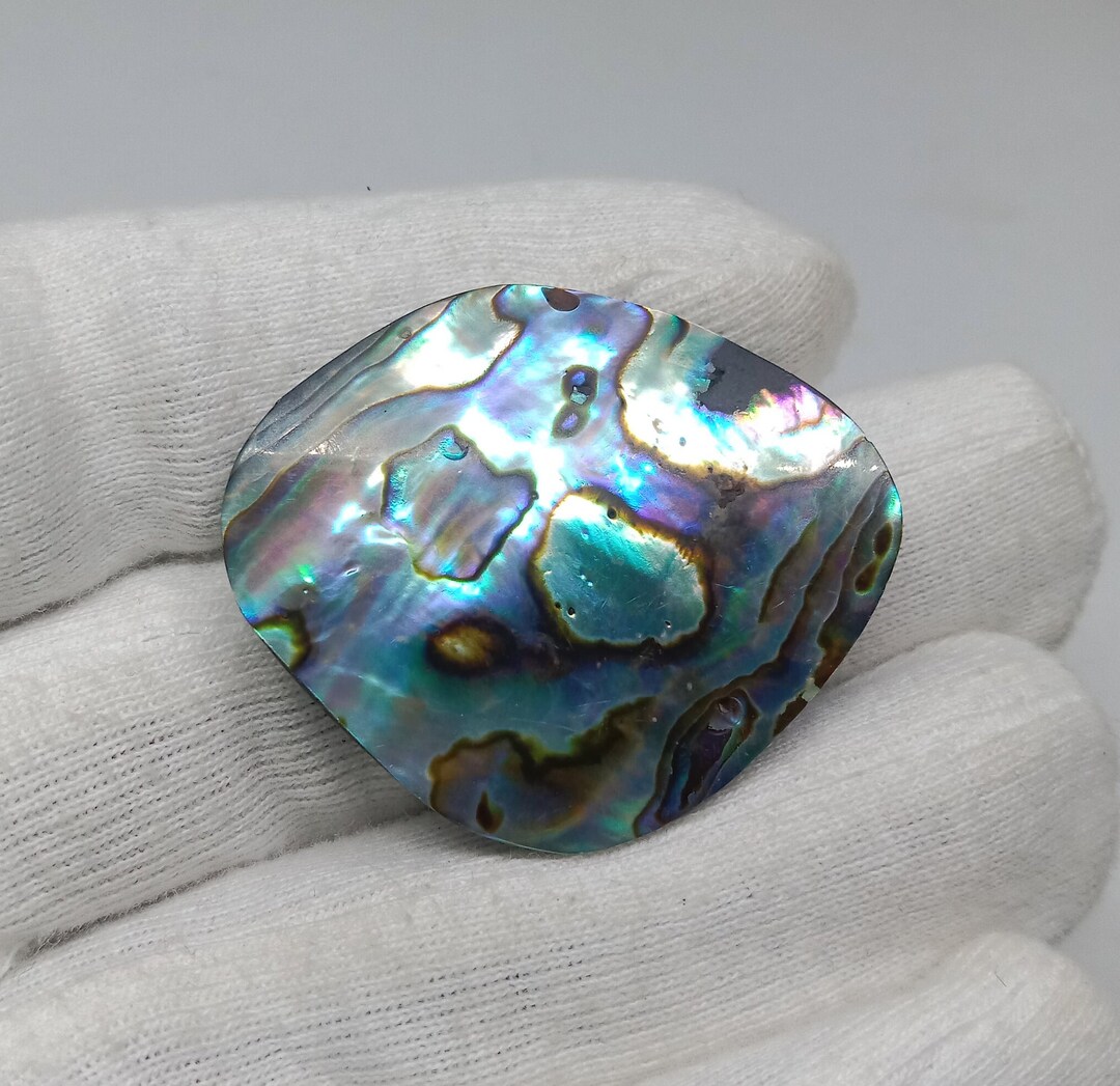Unique Fire Flashy Abalone Shell Oval Shape Mix Size Cabochons Gemstone ...