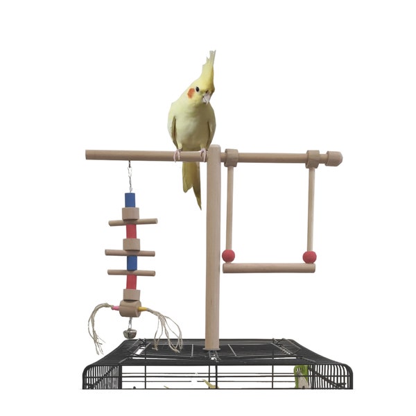 Bird Stand - Etsy