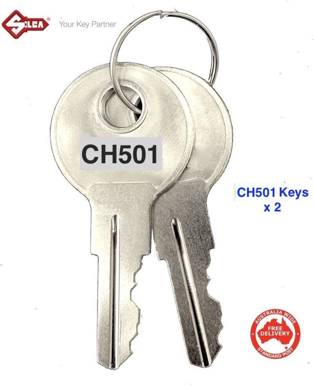CH501 Keys flush Handle Paddle Lock tool Box Keys Goliath, Southco ...