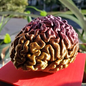 BRAINS ~ Ultra HD 3D Print From MRI Scan! - Etsy