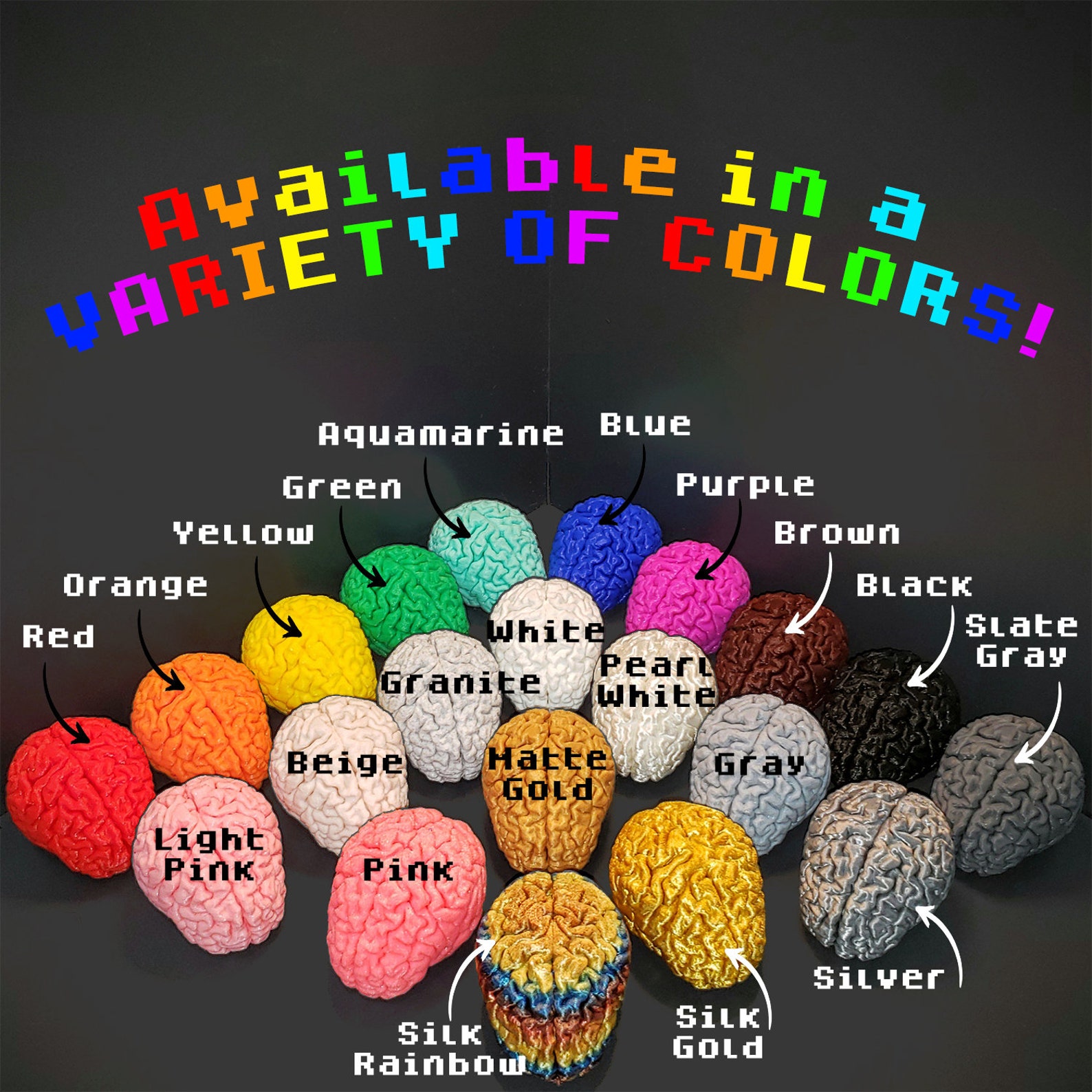 BRAIN CHUNKS 3D Printed Assorted Models - Etsy