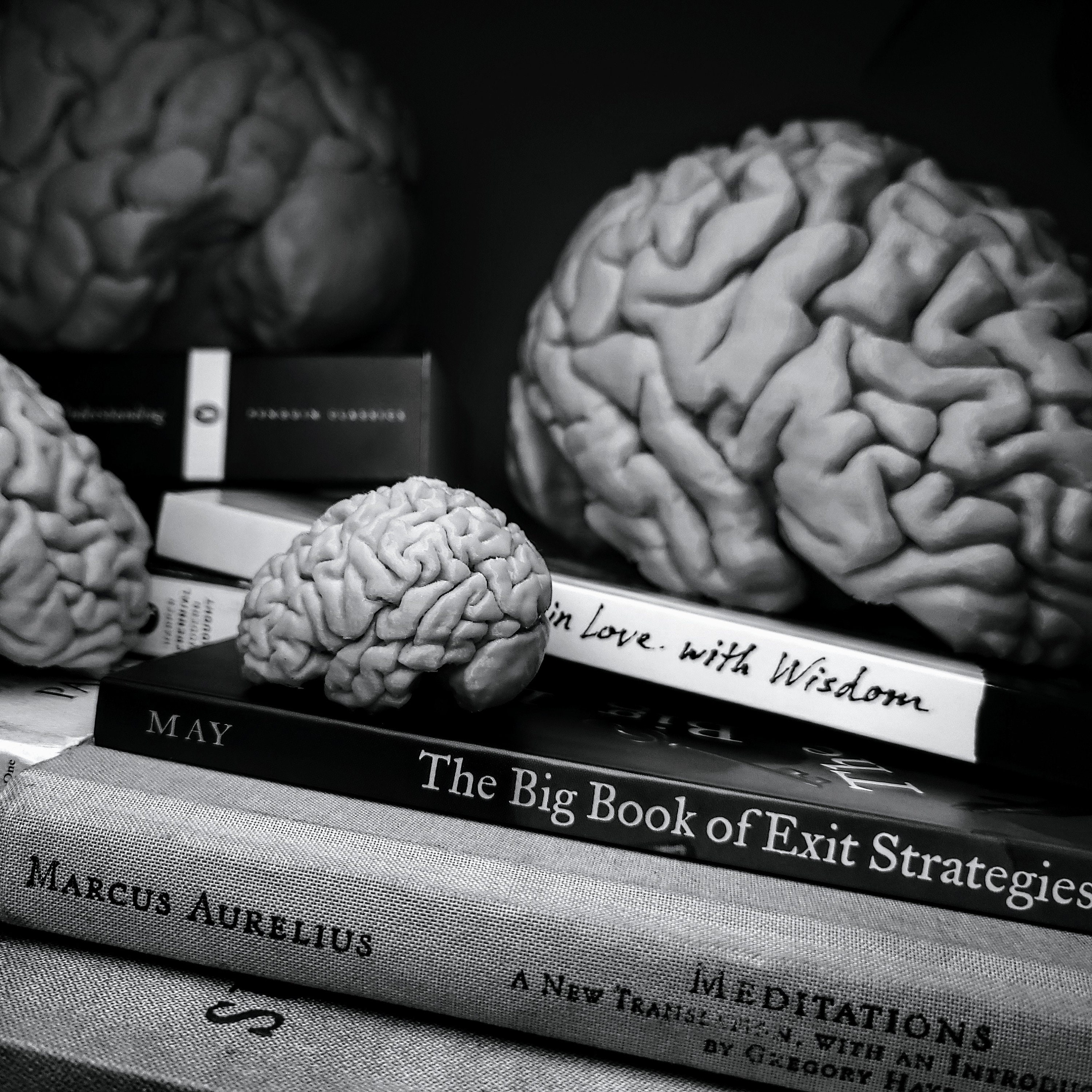 HUMAN BRAINS 3D Printed From Fmri Scan - Etsy Australia
