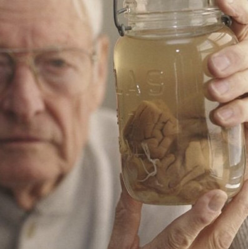 BRAIN CHUNKS 3D Printed Assorted Models | Etsy