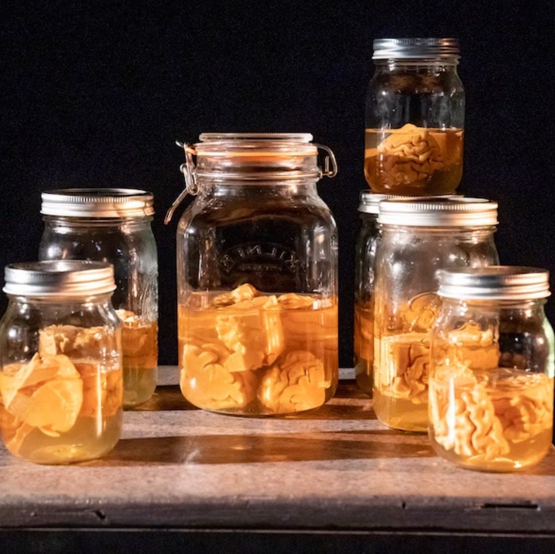 BRAIN CHUNKS 3D Printed Assorted Models - Etsy