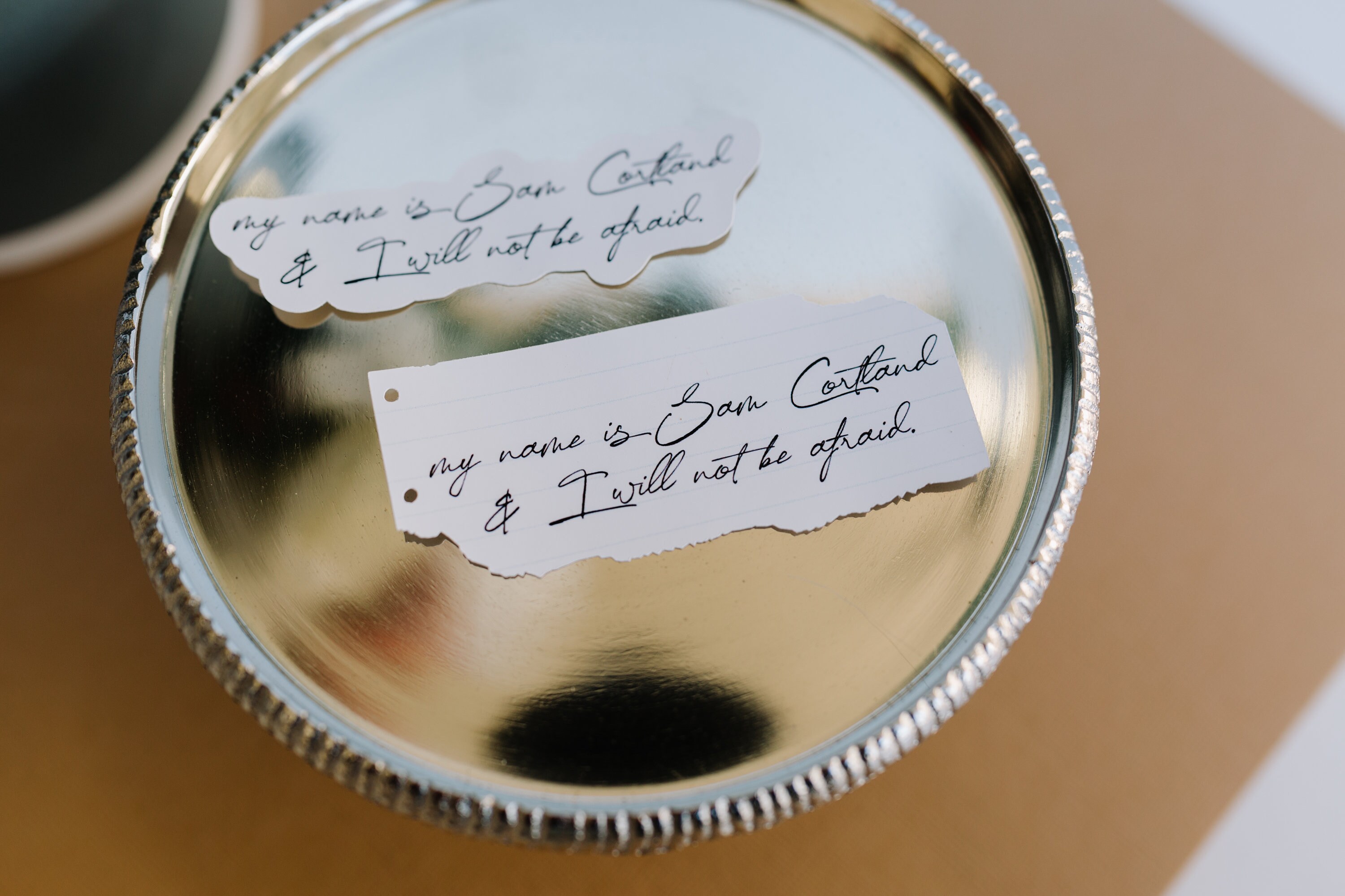 Sam Cortland Sticker TOG Inspired Sticker Fandom Sticker - Etsy