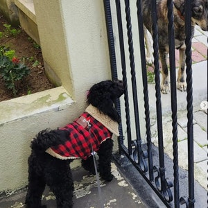 Furry Lumberjack Vest for Dogs and Cats - Etsy