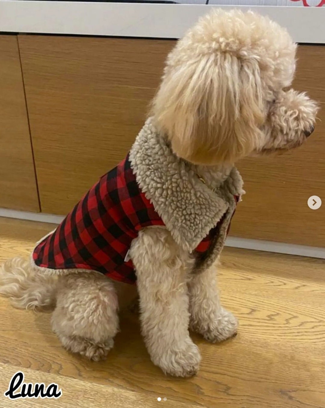 Furry Lumberjack Vest for Dogs and Cats - Etsy