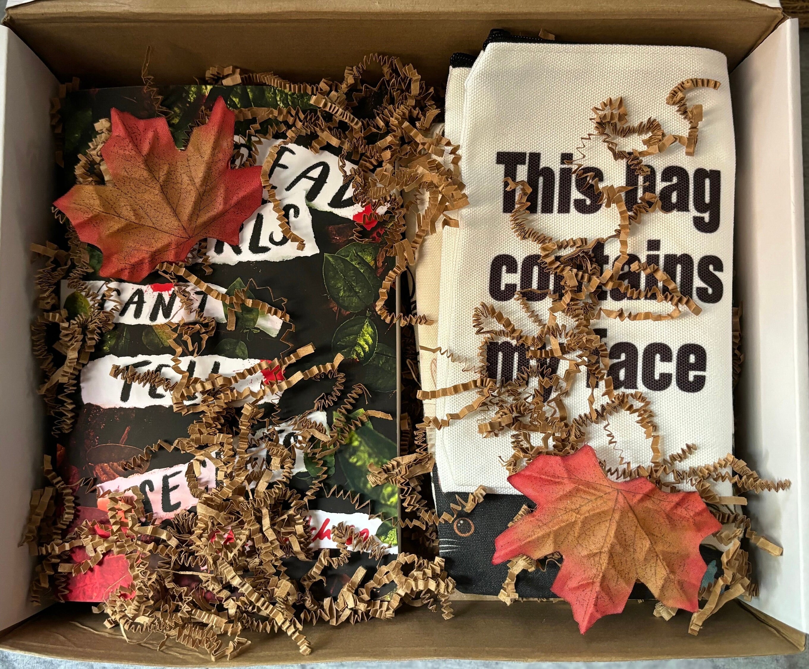 Fall Year Long Spooky Summer Book Box Blind Date With a Book Box - Etsy